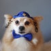 DOG KIPPAH Hanukkah Hat and Bow Set for Dog or Cat /hanukkah Pet Gift ...