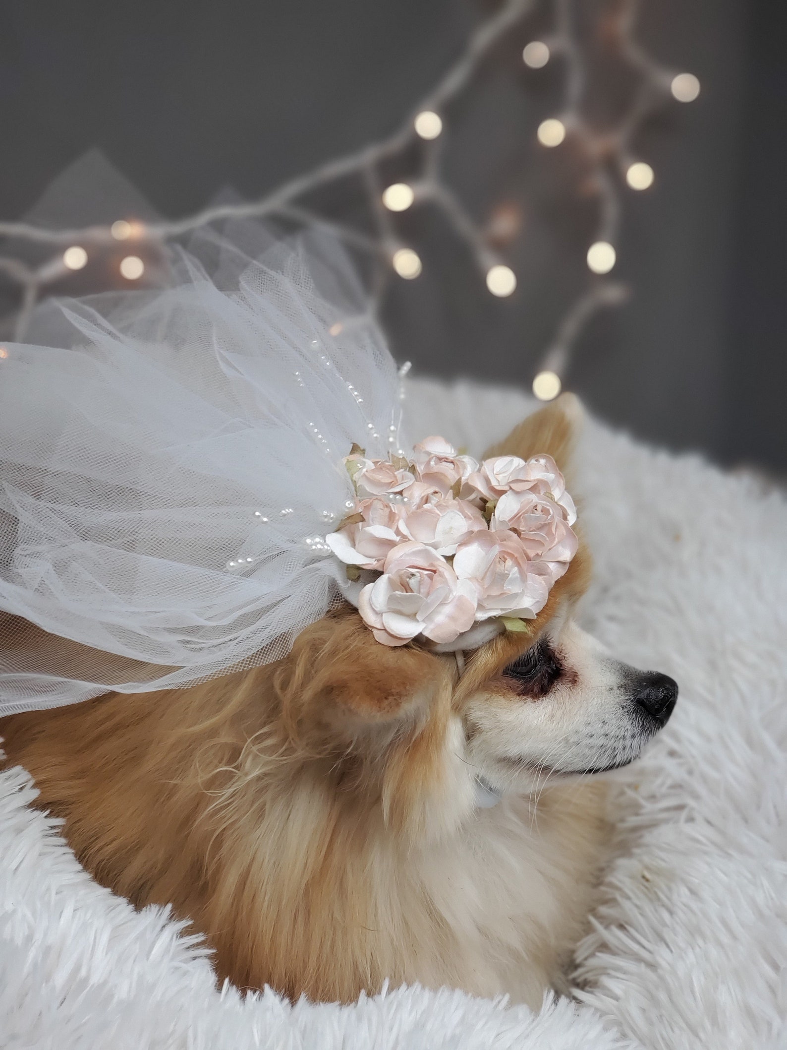 Veil for pet/ Cute bridal veil with white flowers for dog | Etsy