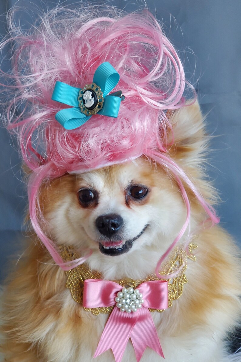 Marie Antoinette Pet Wig, Pink Costume Wig for Dog or Cat - Etsy