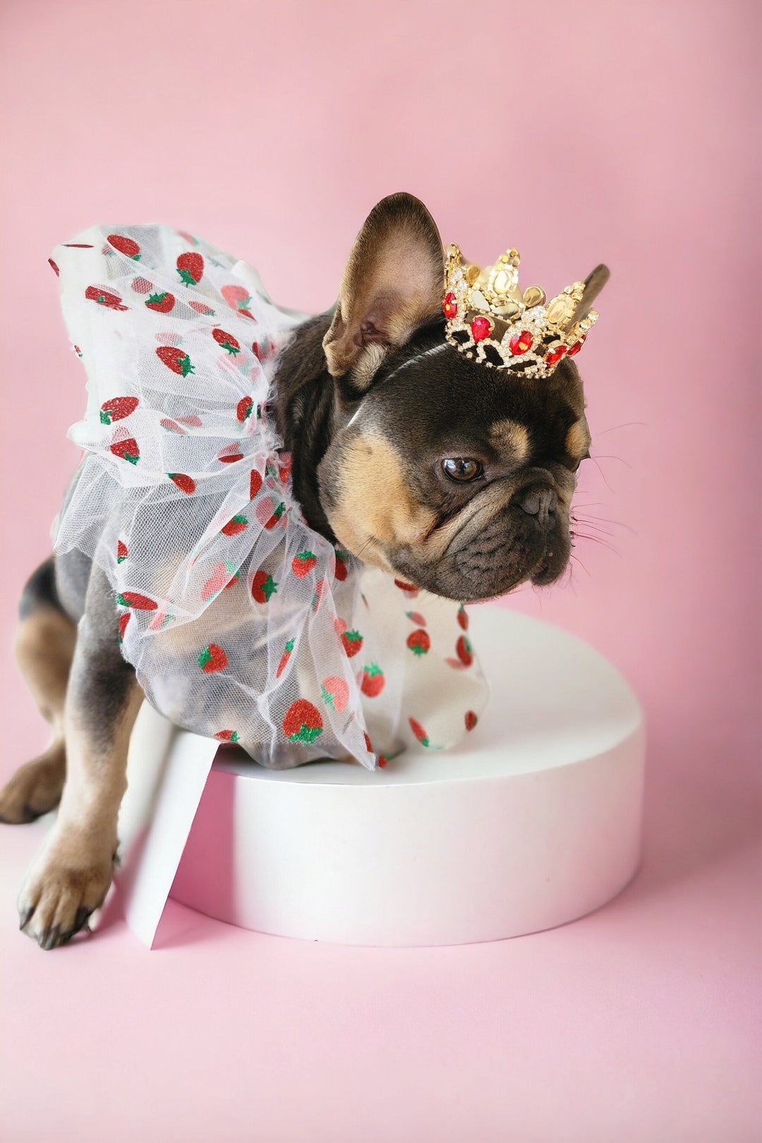 Princess Dog Crown: Silver Color Pet Crown, Adjustable Elastic - Etsy