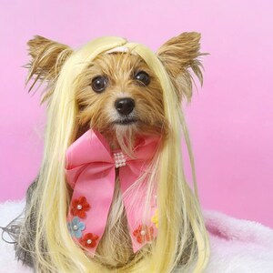 Cute Pet Wig, Halloween Costume for Dog or Cat - Etsy
