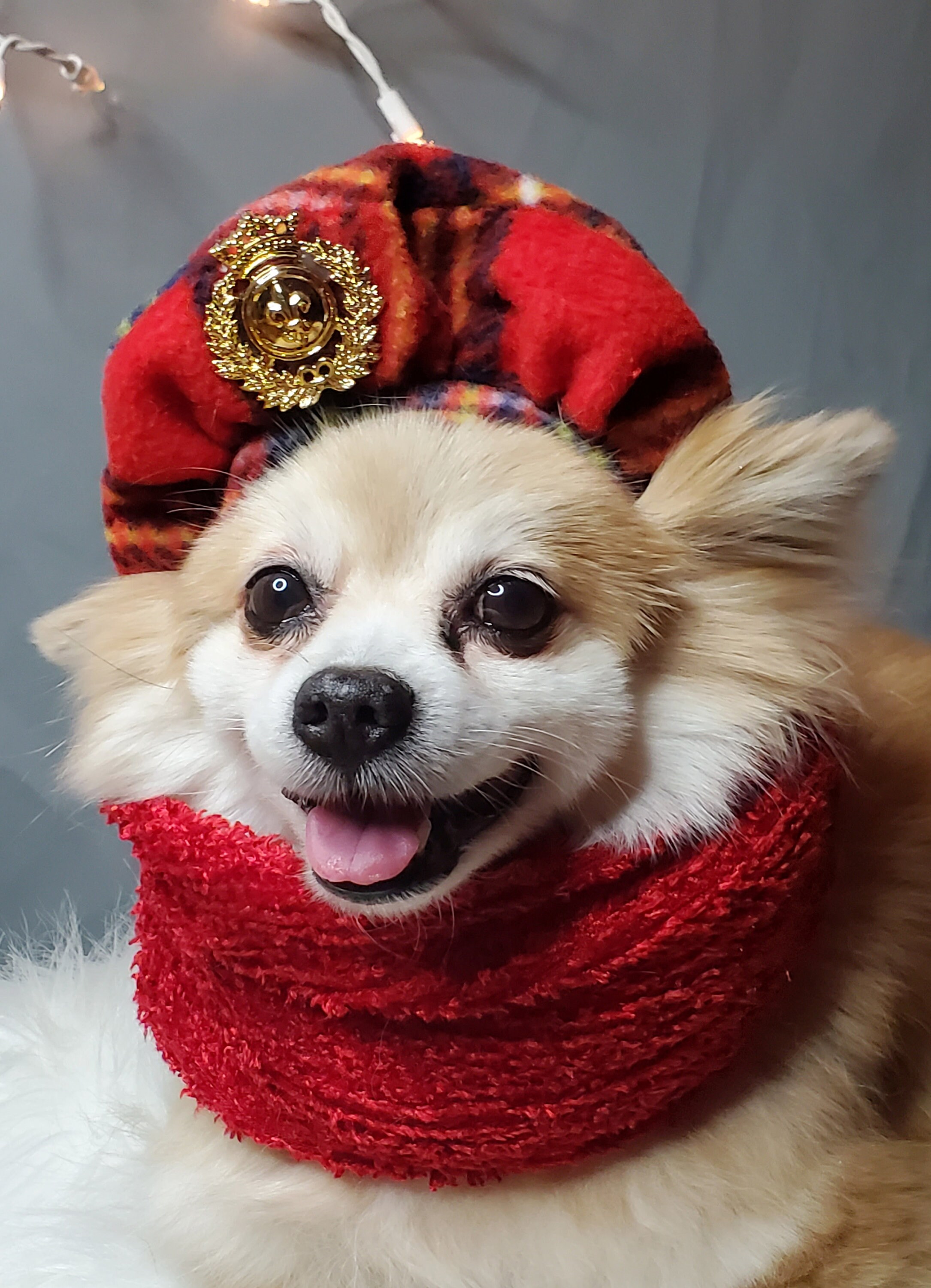 Set 2 piece Beret and Scarf for dog cat or small animal / | Etsy