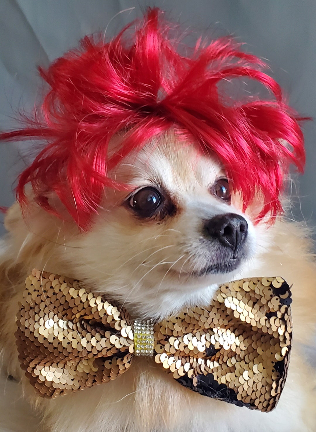Pet Costume Wig & Bow Tie Set, Handmade Dog/cat Outfit - Etsy