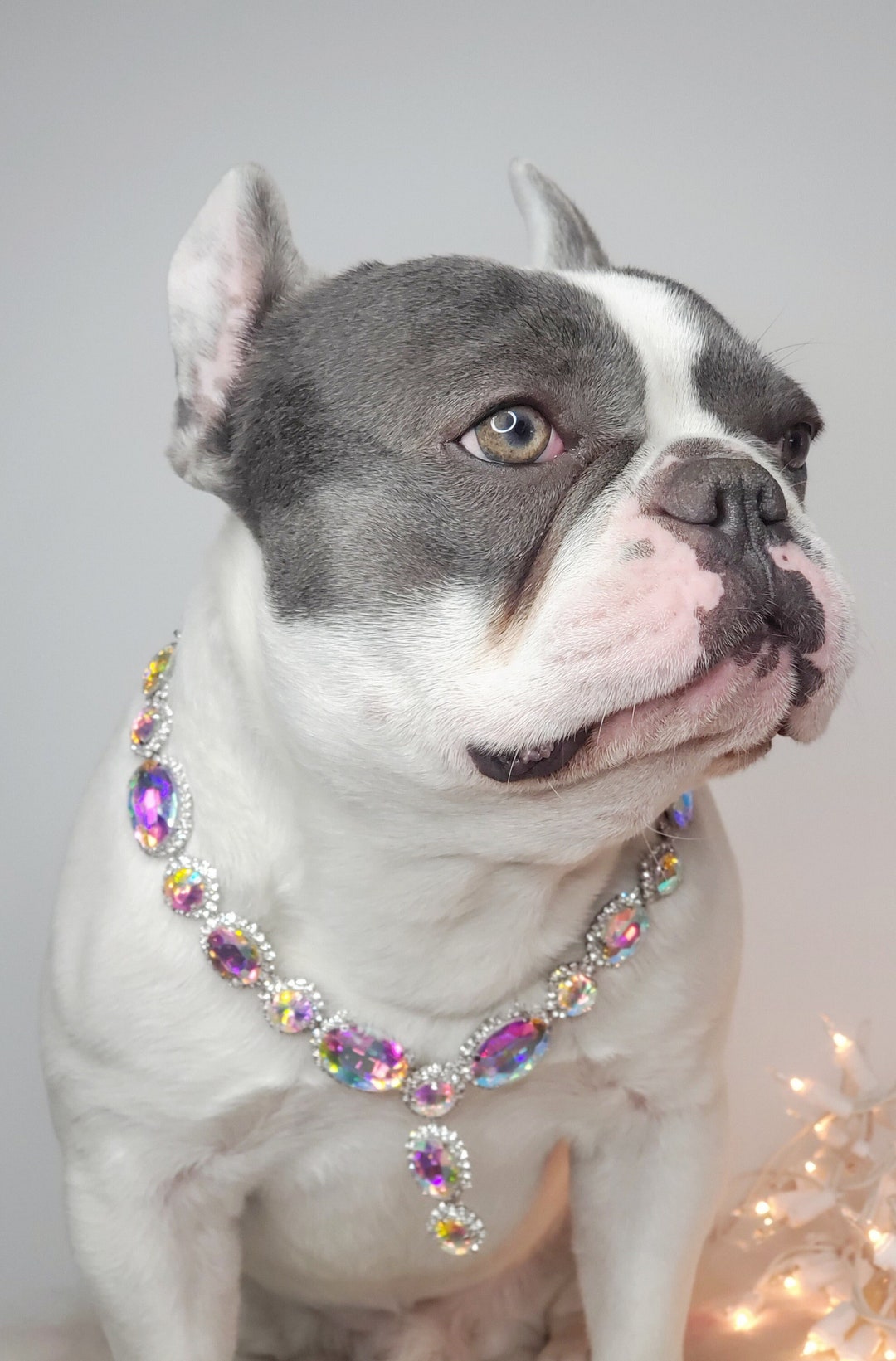 Supper Cute Dog Neck Chain Gold Color/ Jewelry for Pet /jewelry Collar ...