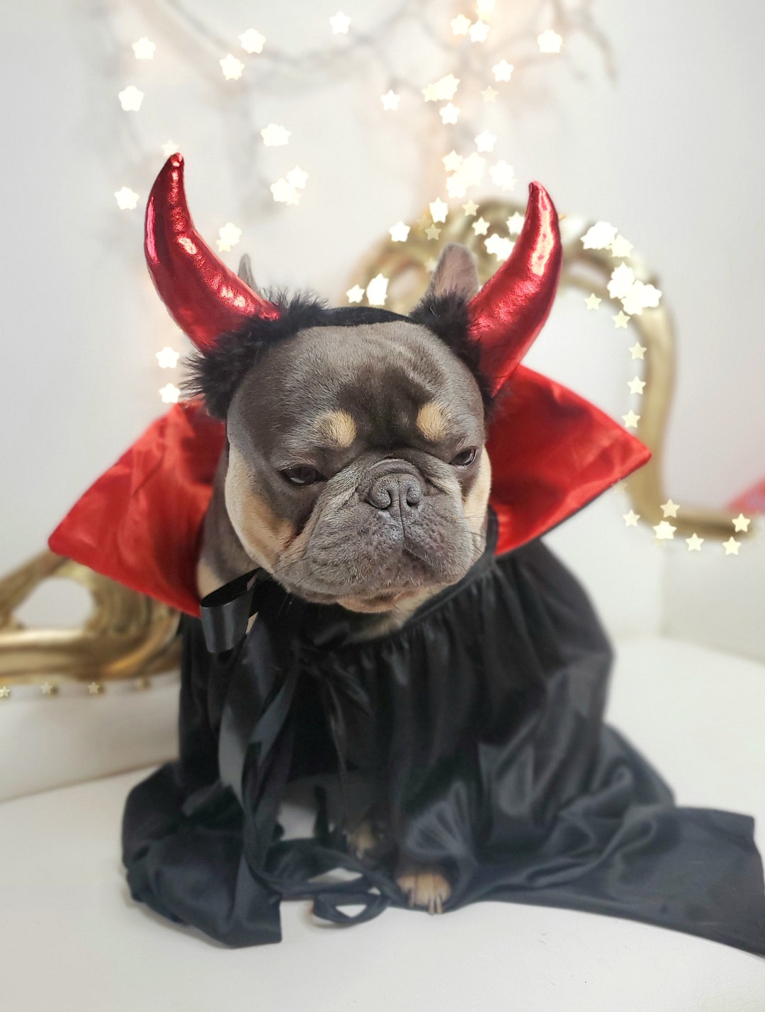 Devil Headband for Large Pet Hat /halloween Costume/horns Headband /dog ...