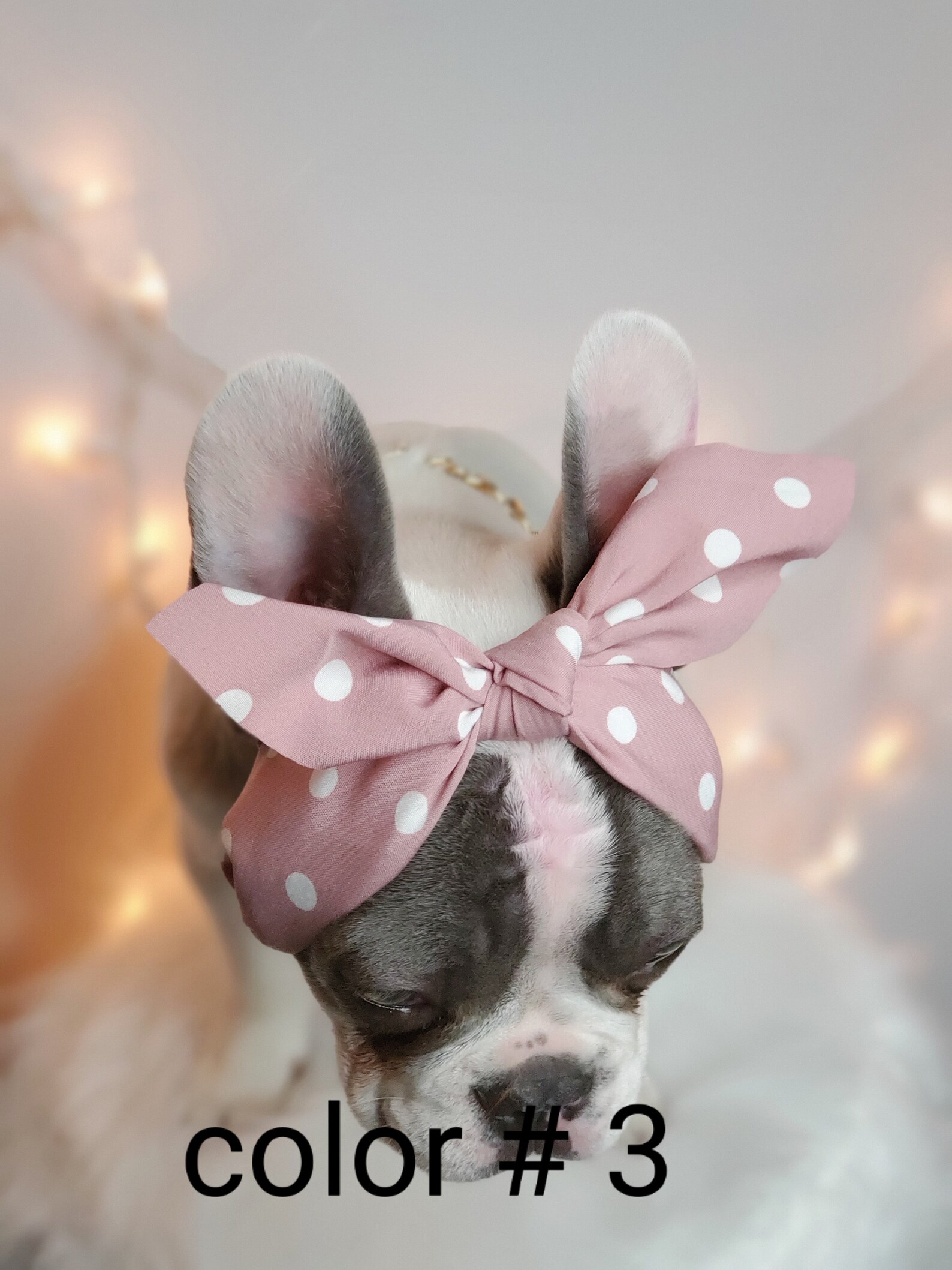 Headband for Dog or Cat /headband for Dogs/pet Gift/ | Etsy