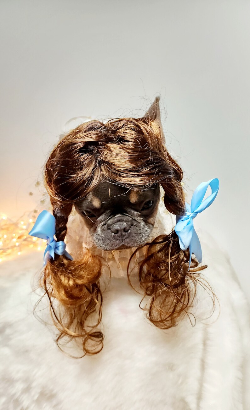 Wizard of Oz Dorothy Dog Wig, Brown Costume Wig - Etsy