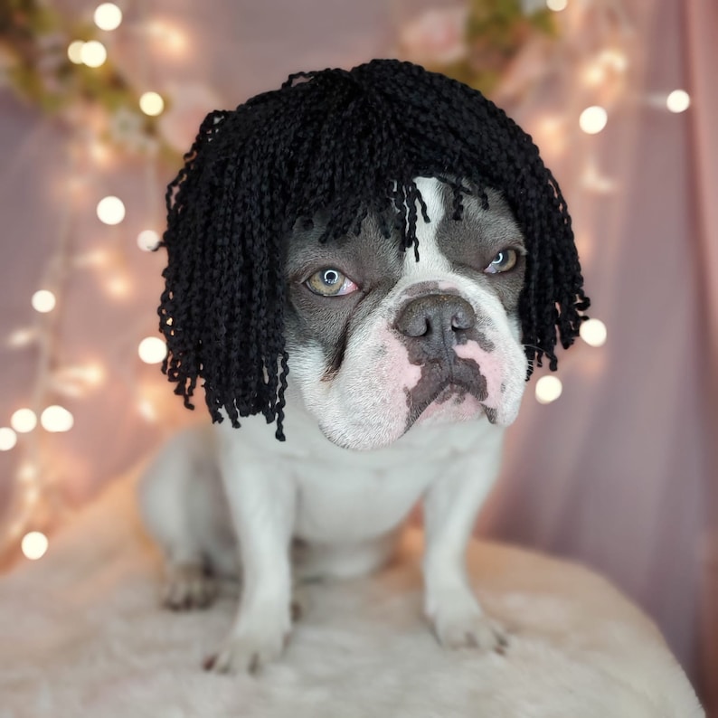 Black Pet Wig | Adjustable Costume Wig for Dogs & Cats - Etsy