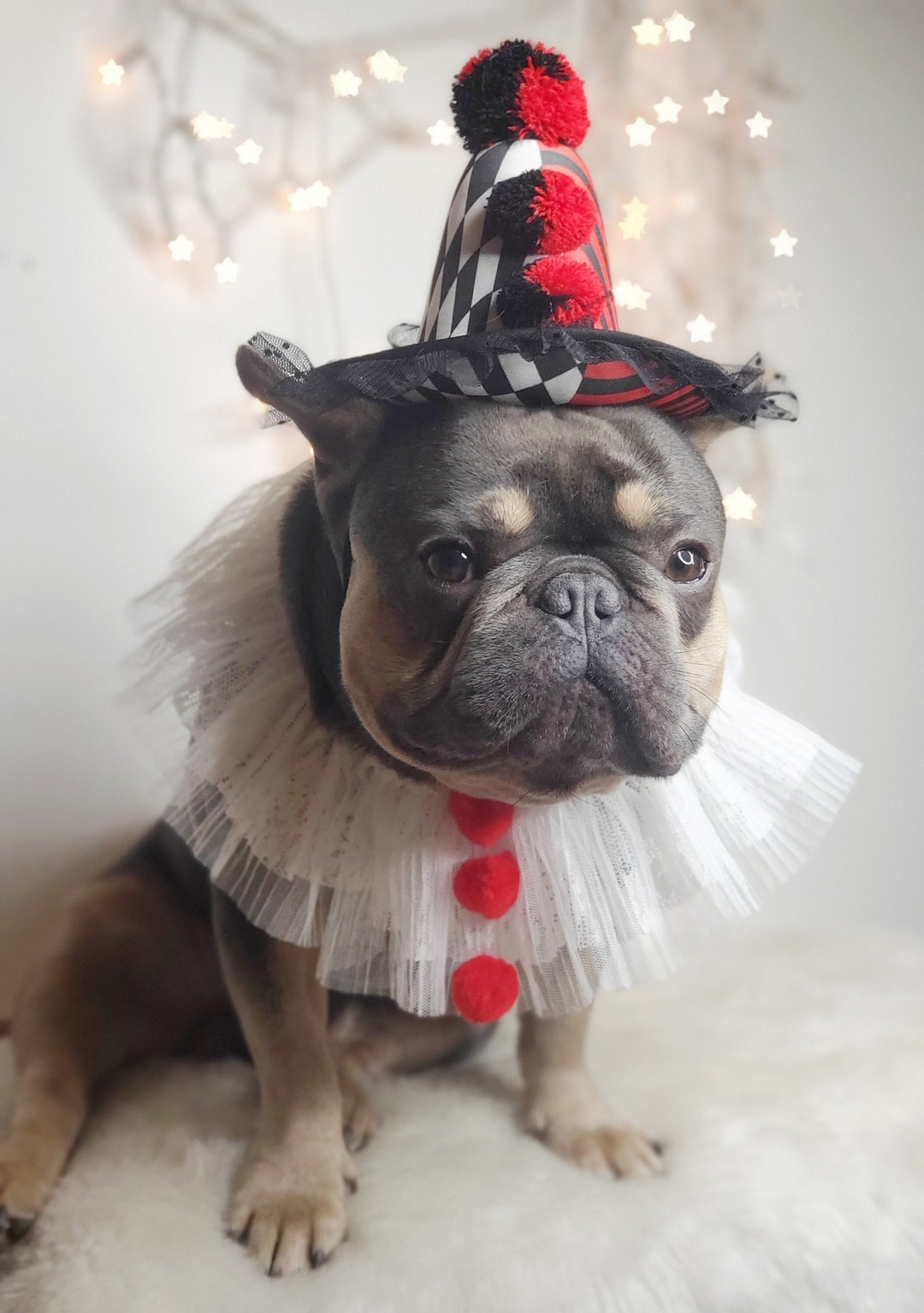 Dog Costume/clown Costume for Your Pet Set Wig and Neck/dog Costume ...