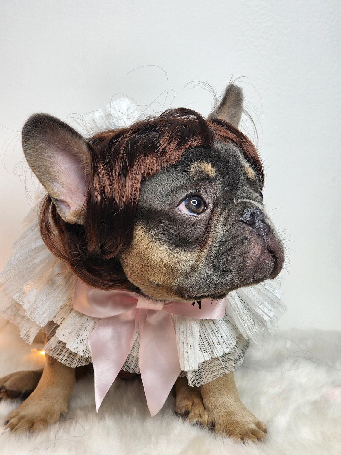 Brown Pet Wig, Adjustable Costume for Dog or Cat - Etsy