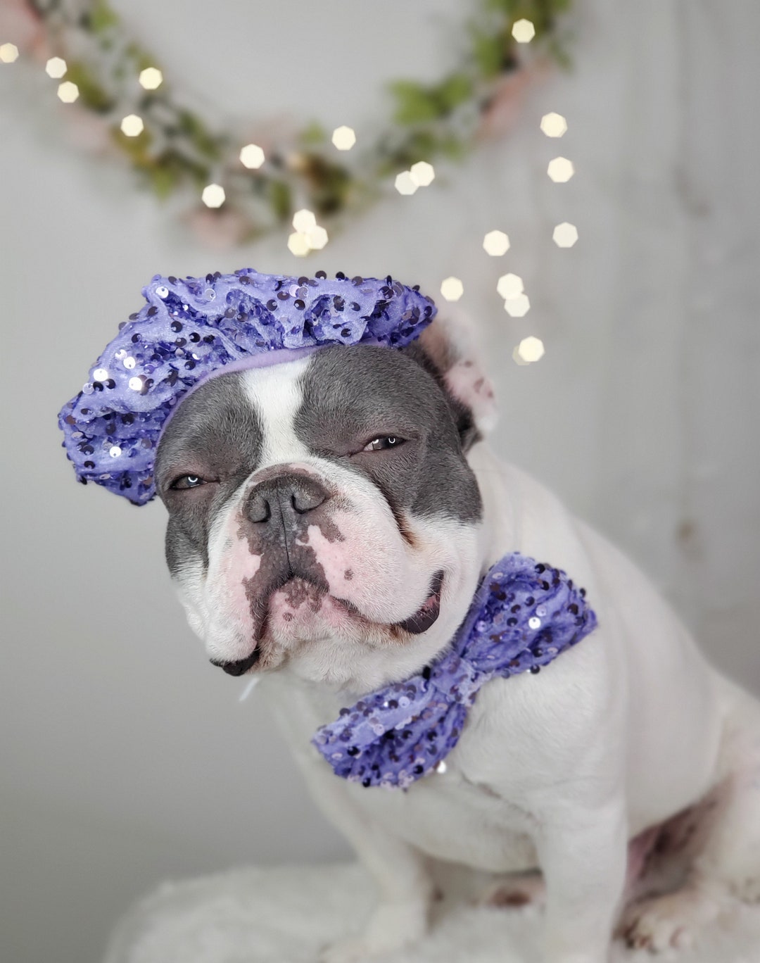 Set Listing /beret Hat for Dog or Cat /hat for Dogs/beret for Dogs / - Etsy