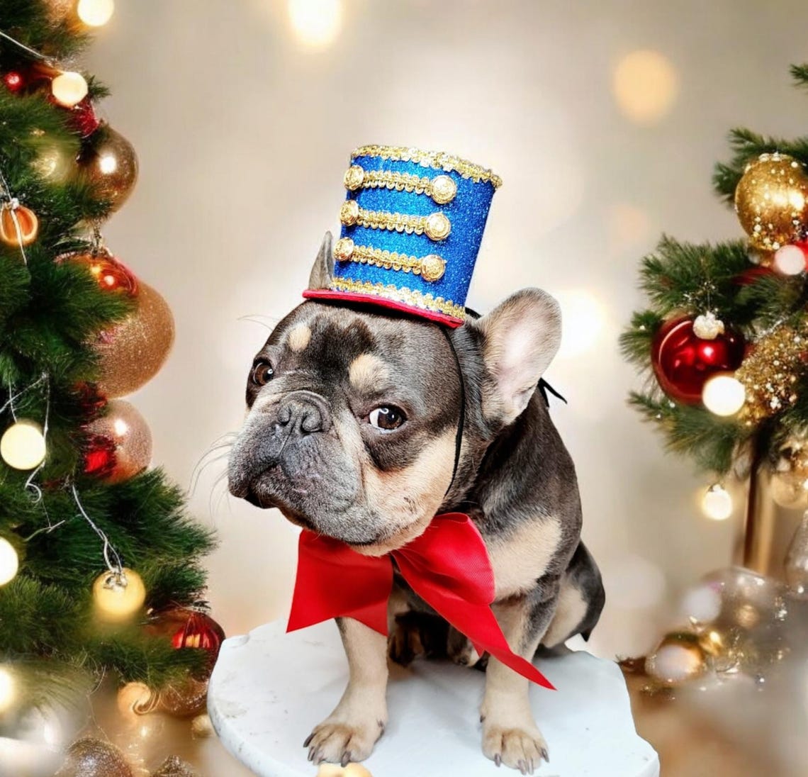 Nutcracker Pet Costume Hat: Christmas Dog Top Hat - Etsy