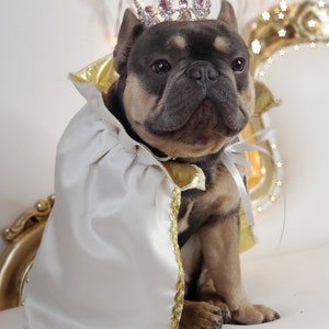 Princess Dog Crown, Silver With Pink Stones, Pet Costume - Etsy