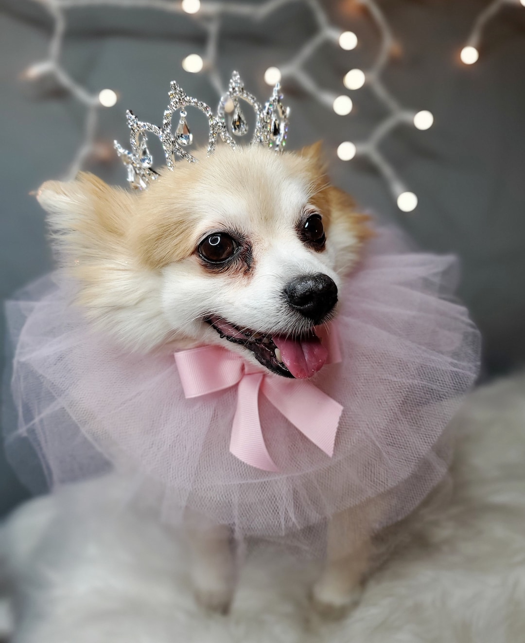 Dog Crown With Pink Collar: Pet Princess Costume - Etsy