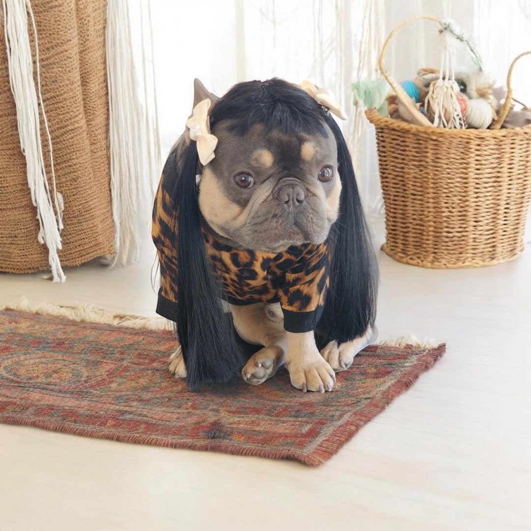 Black Pet Wig With Pony Tails, Costume Dog Wig - Etsy