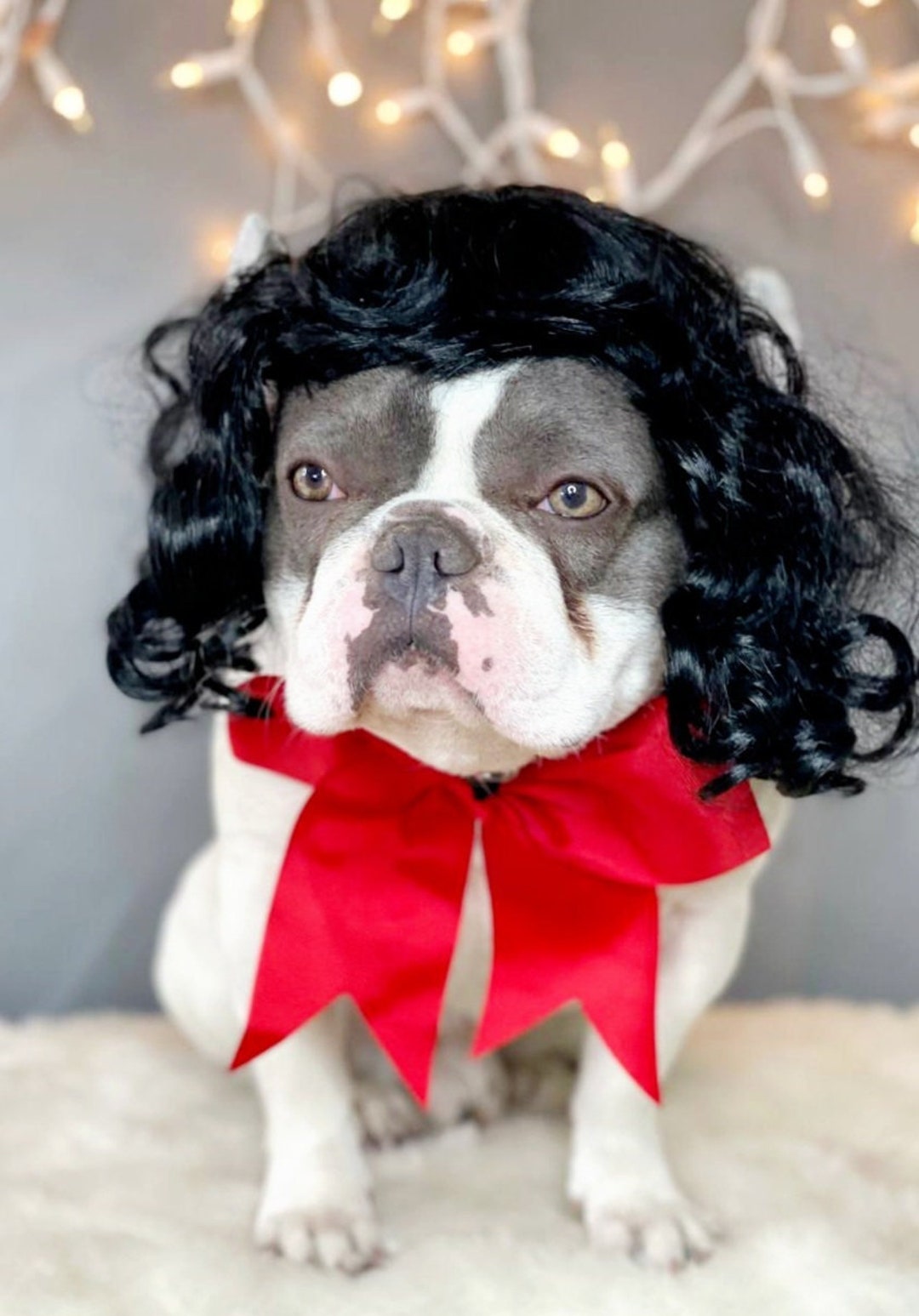 Large Dog Wig / Black Color Wig for Dog / Wig for Large. Dogs/ - Etsy