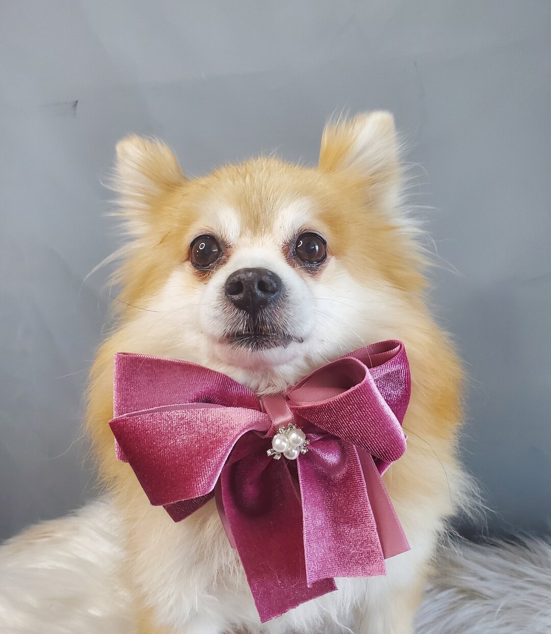 Velvet Dog Bow Tie | Handmade Pet Costume, Elegant Accessory - Etsy