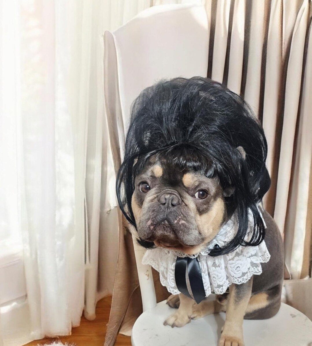 Black Pet Wig for Dogs & Cats, Halloween Costume - Etsy
