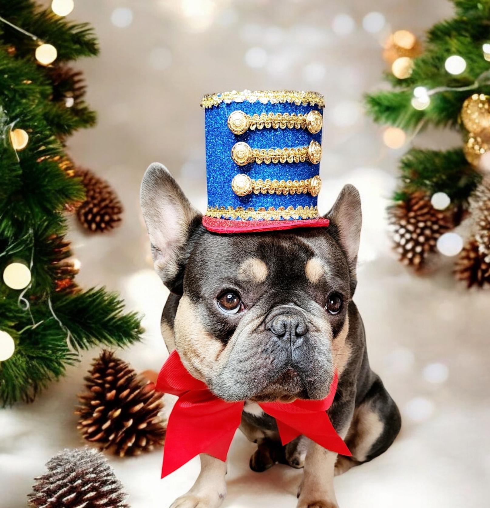 Nutcracker Pet Costume Hat: Christmas Dog Top Hat - Etsy