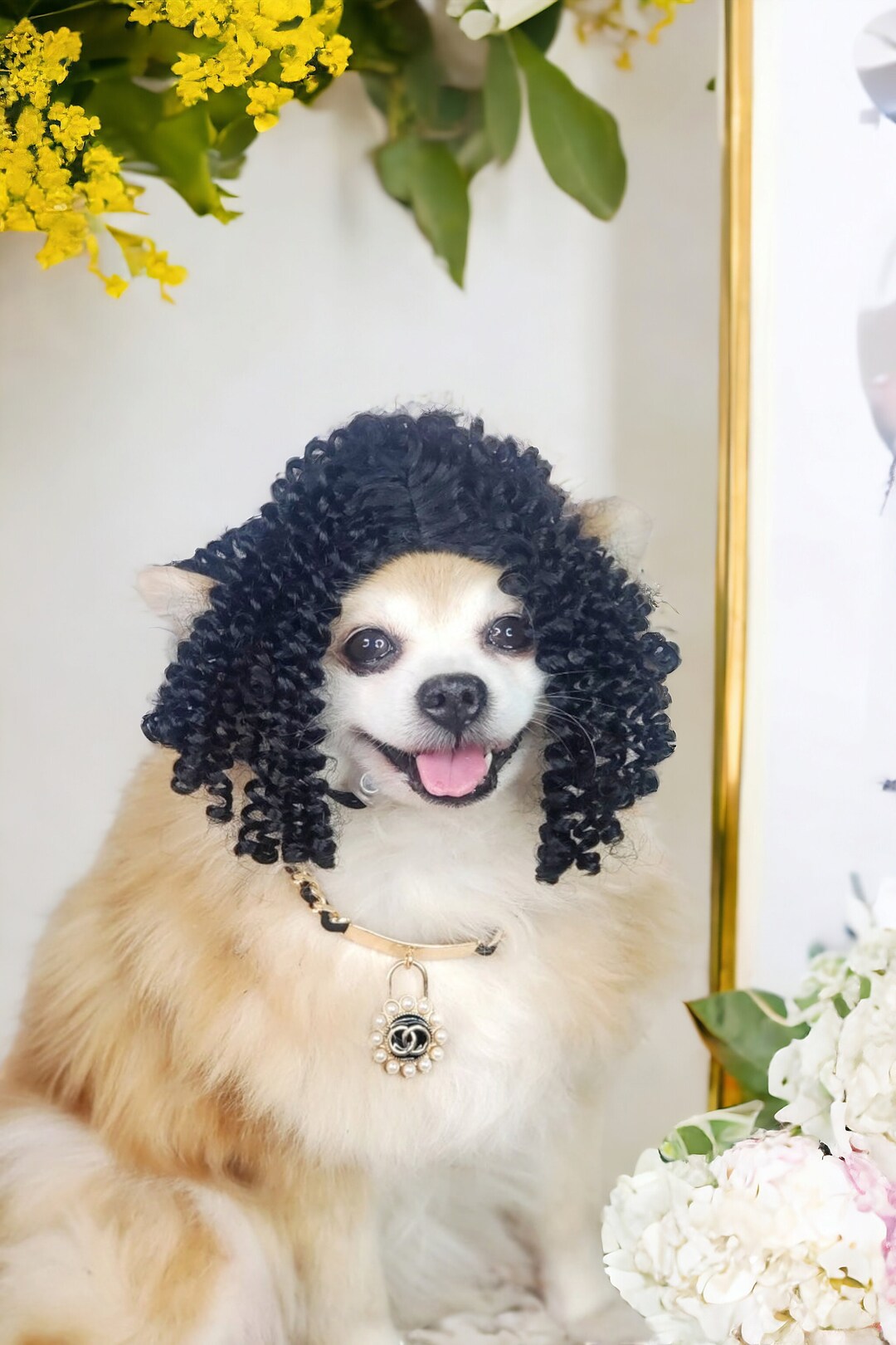 Black Color Pet Wig for Dog or Cat/halloween Dog Wig /halloween Costume ...