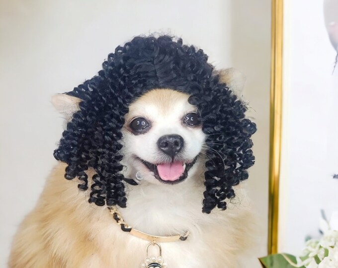 Black Color Pet Wig for Dog or Cat/halloween Dog Wig /halloween Costume ...