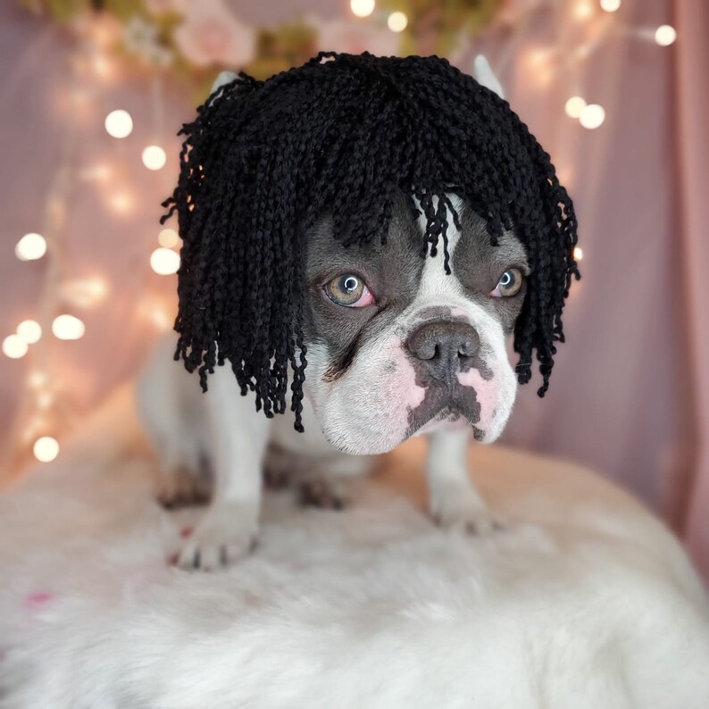 Black Pet Wig | Adjustable Costume Wig for Dogs & Cats - Etsy