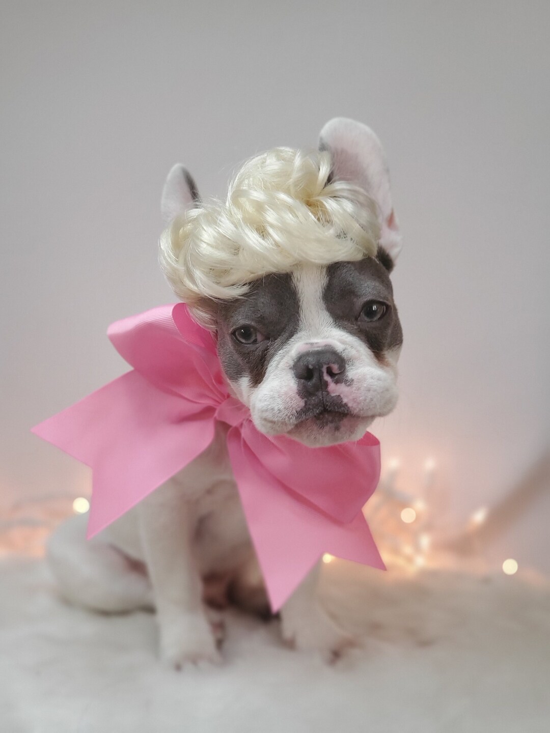 Blond Pet Wig With Pink Bow, Handmade Dog or Cat Costume Wig - Etsy