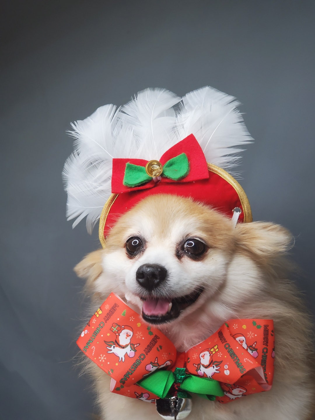 Christmas Red Color Hat With Bow and Feather for Dog or Cat - Etsy