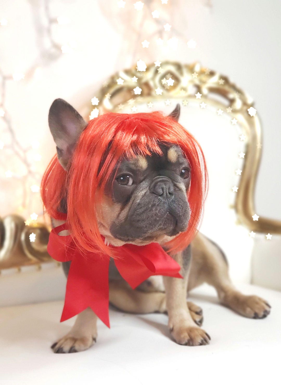 Pet Costume Wig for Dog or Cat, Halloween Costume - Etsy
