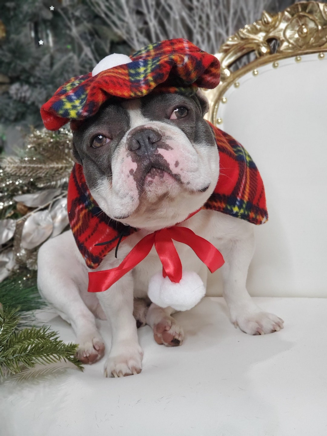 Beret Hat With Cape Dog or Cat /hat for Dogs/beret for Dogs / - Etsy