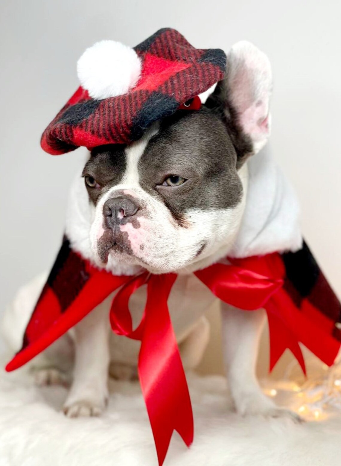 Set 2 Piece Beret and Cape Cover for Dog Cat or Small Animal / - Etsy