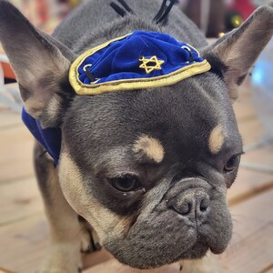 DOG KIPPAH Hanukkah Hat and Bow Set for Dog or Cat/hanukkah Dog Gift ...