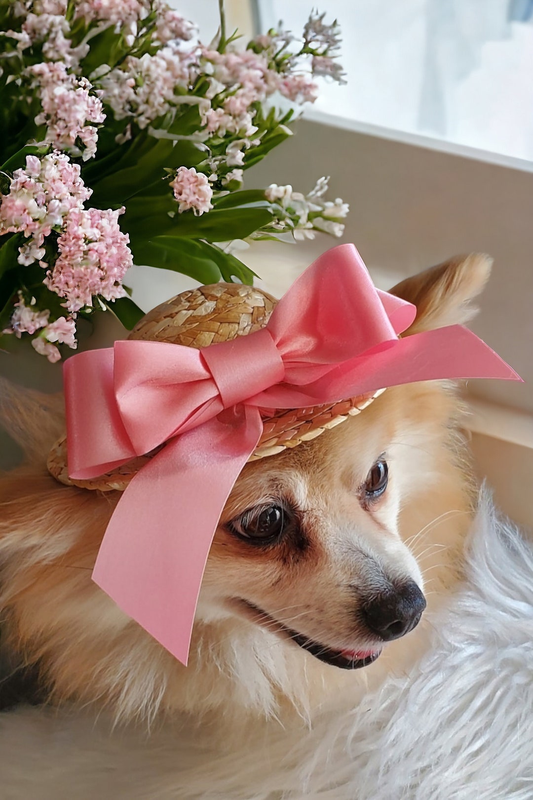 Straw Dog Hat / Straw Hat With Pink Color Bow for Dog or Cat - Etsy