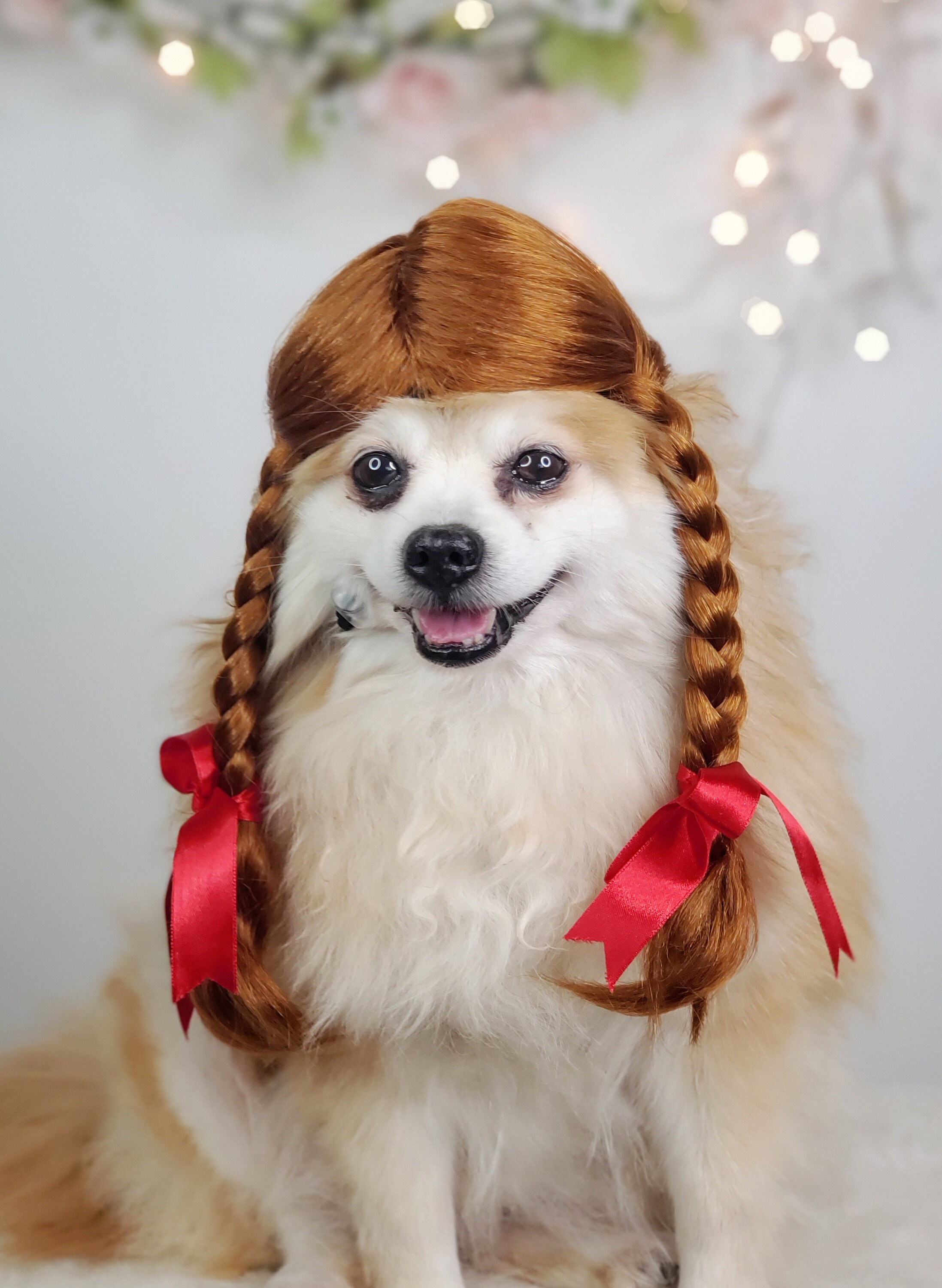 Braided Pet Wig With Red Bows, Dog or Cat Halloween Costume - Etsy