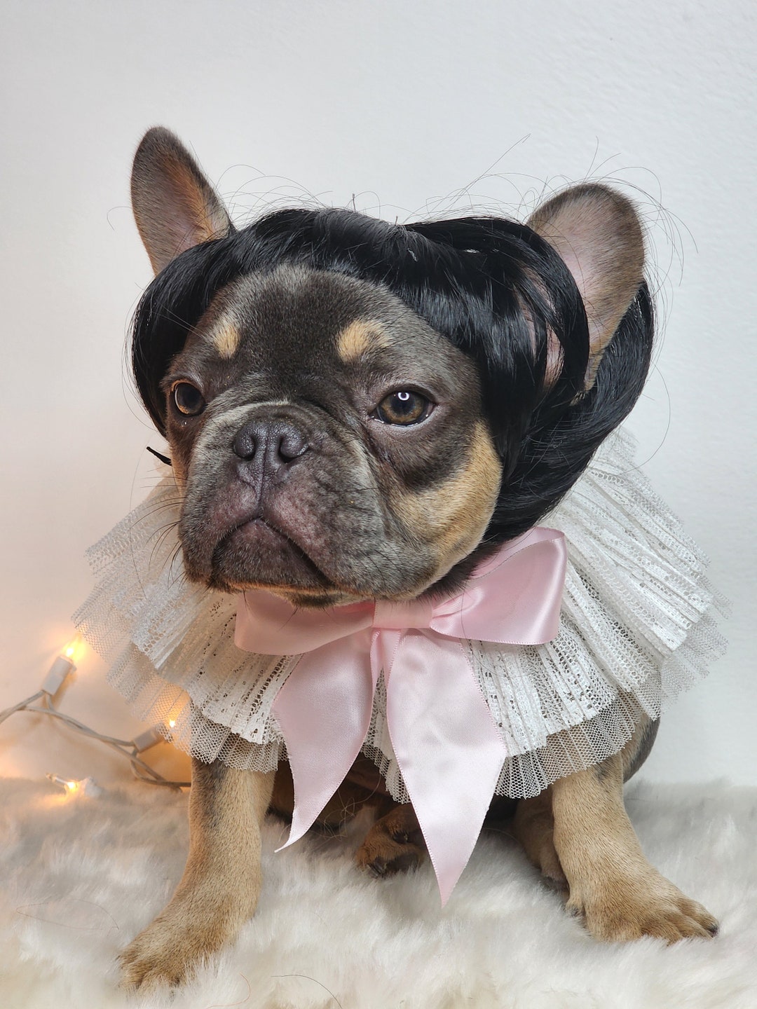 Pet Wig for Dog or Cat/halloween Dog Wig / Pet Costume /dog Costume ...