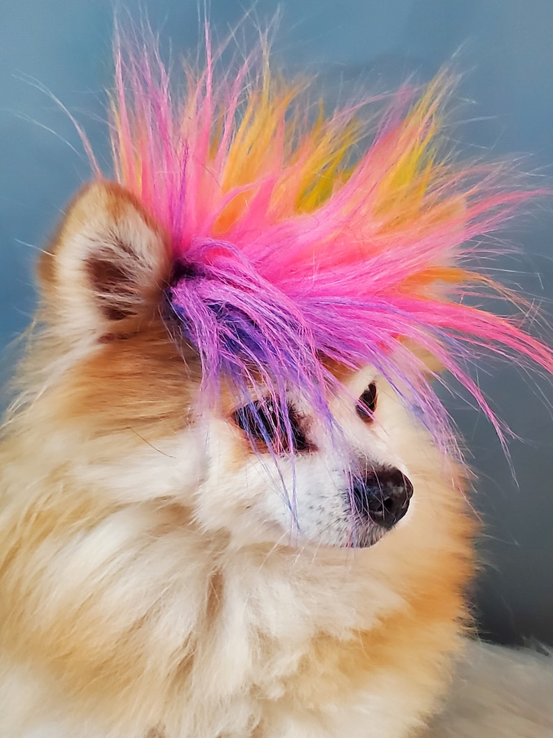 Mohawk for Your Pet / Halloween Dog Costume /cat Mohawk / - Etsy