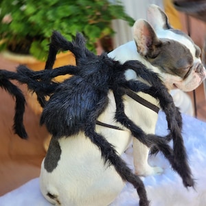 Spider Dog Costume, Halloween Pet Costume - Etsy