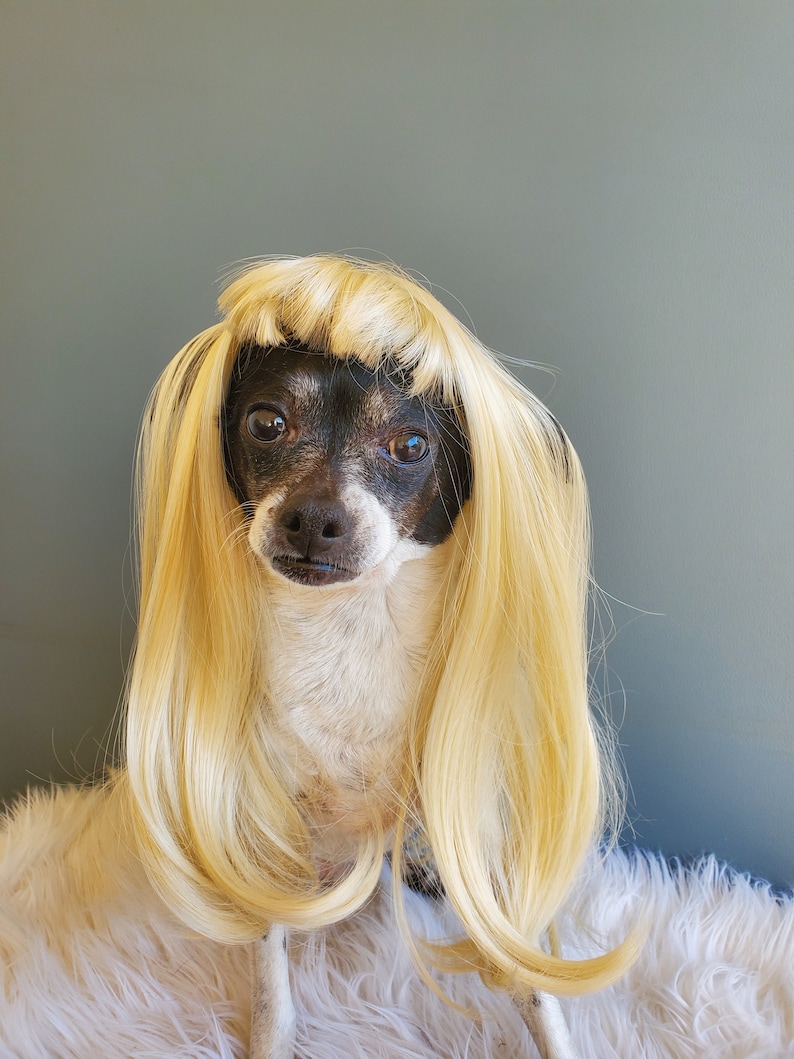 Pet Wig Blond Color Long Hair for Dog or Cat - Etsy