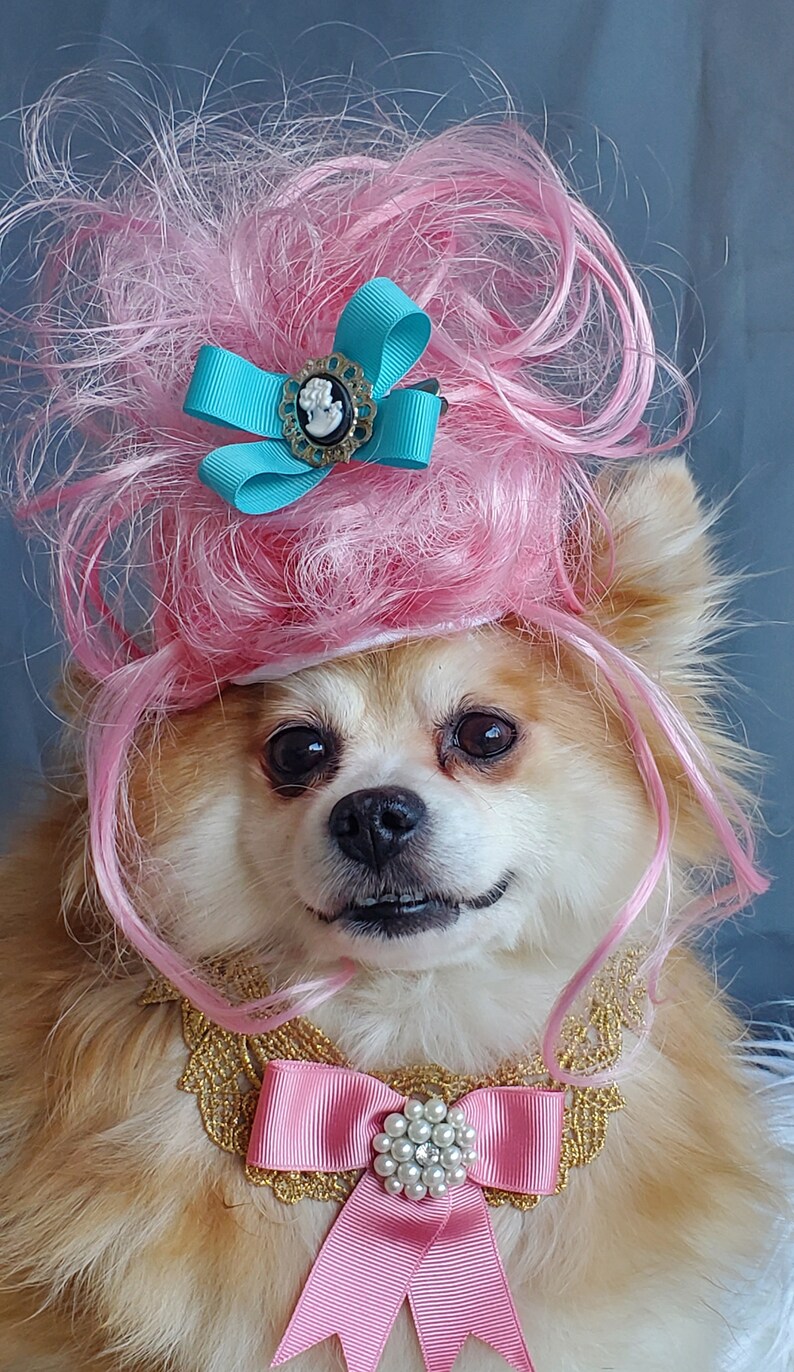 Marie Antoinette Pet Wig, Pink Costume Wig for Dog or Cat - Etsy