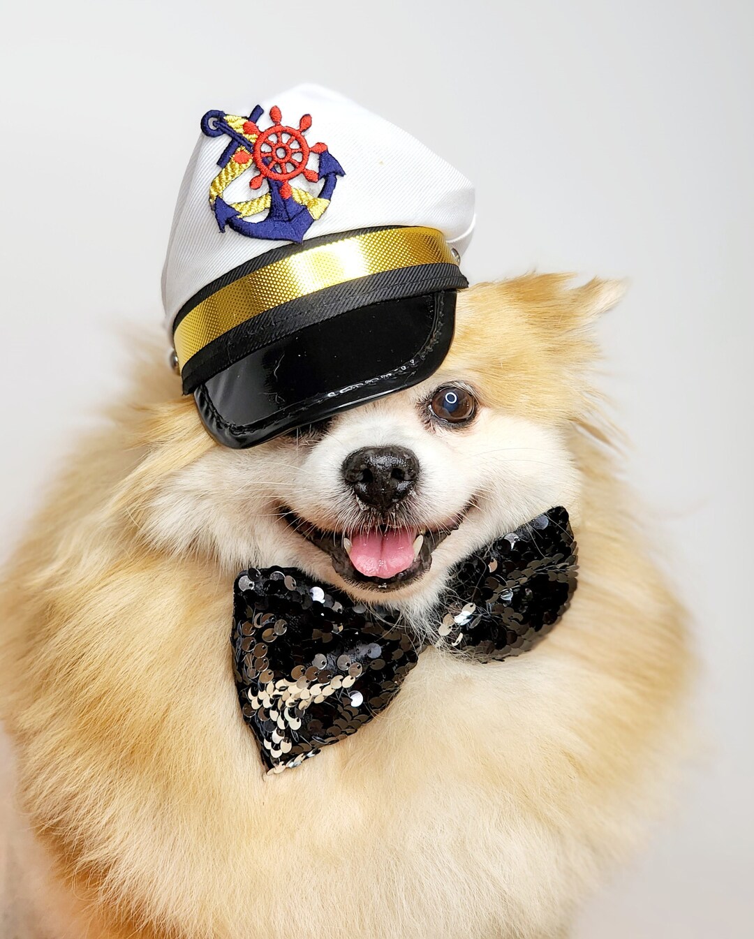 Captain Pet Costume Hat - Small Dog/cat Sailor Outfit - Etsy