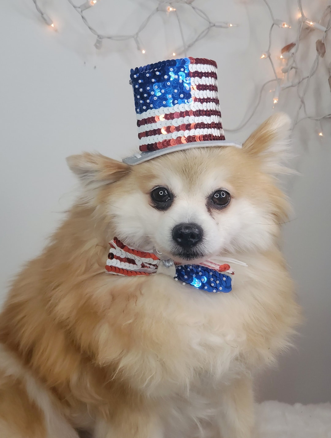 Dog Costume /SET LISTING /4 July Hat for Pets/american Flag Hat for Pet ...