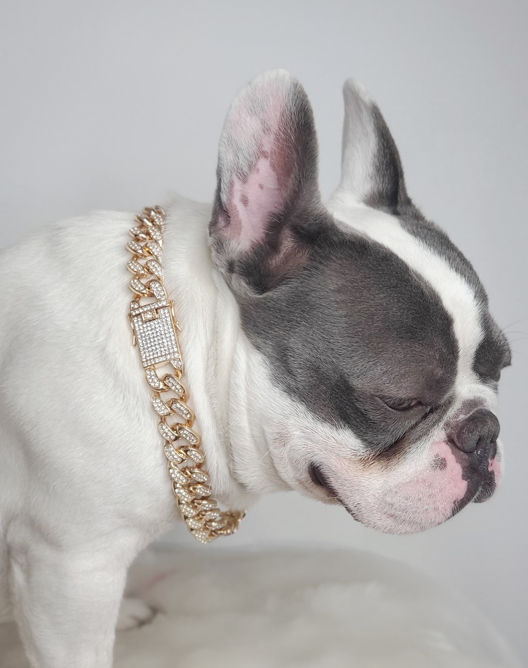 Cuban Link /supper Cute Dog Neck Chain Gold Color/ Jewelry for Pet ...