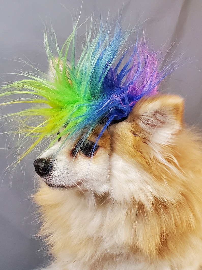 Pet Mohawk Wig: Rainbow Dog/cat Costume, Adjustable Elastic - Etsy