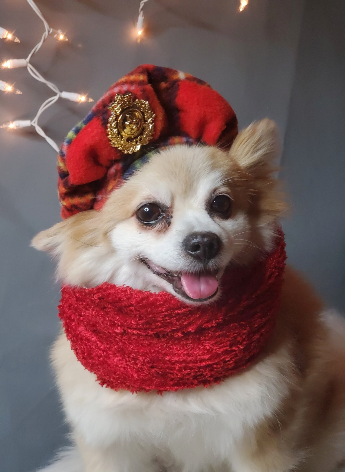 Set 2 Piece Beret and Scarf for Dog Cat or Small Animal / | Etsy