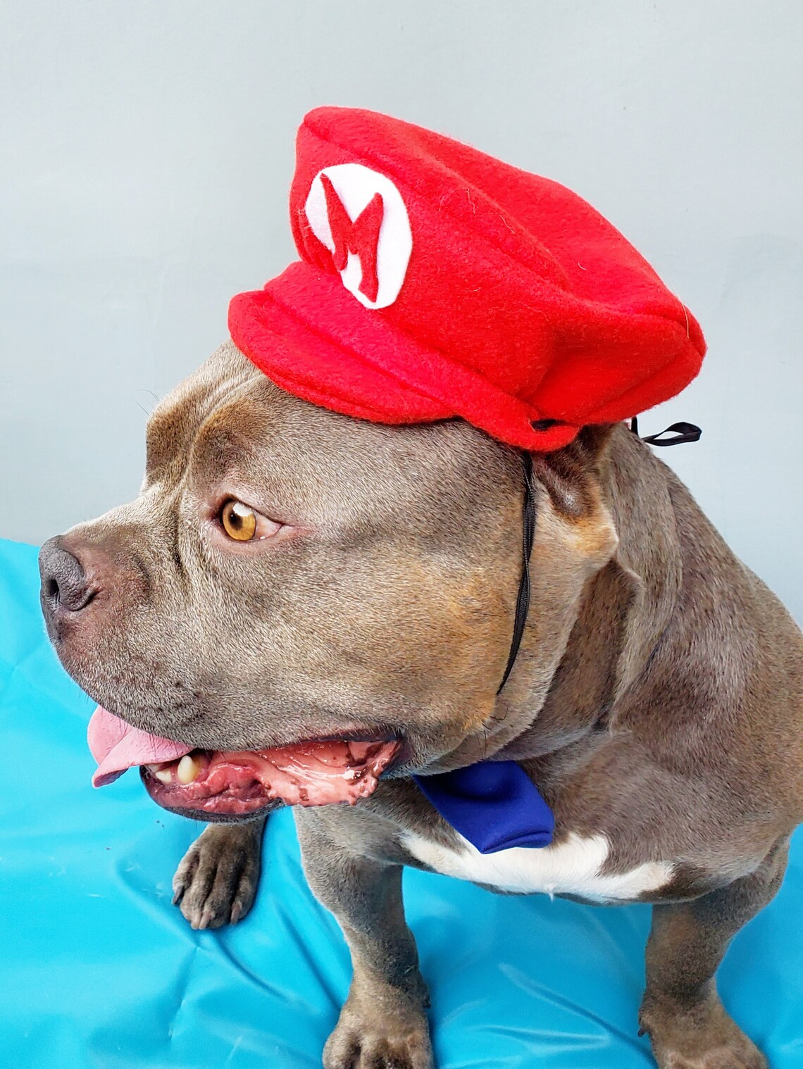 Supper Mario Hat Red Color for Larger Dog /halloween Dog | Etsy