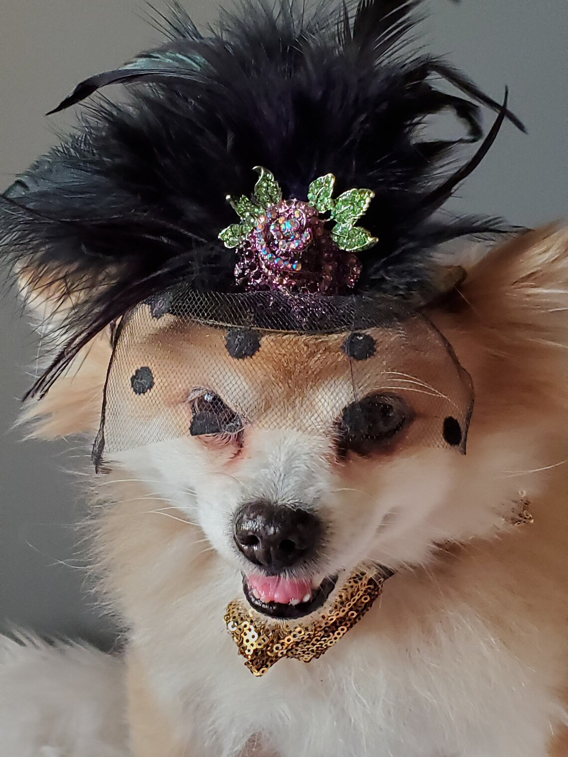 Gold color hat with feather and flower for dog or cat | Etsy