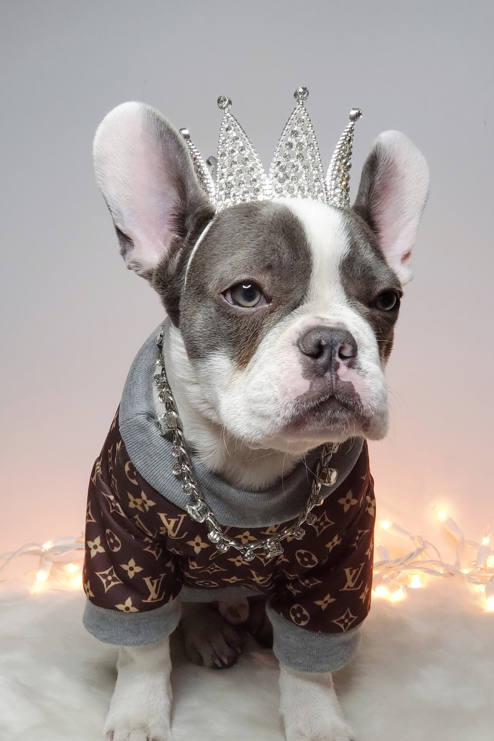 Crown for Dog or Cat /princess Dog Crown / Crown for Dog | Etsy