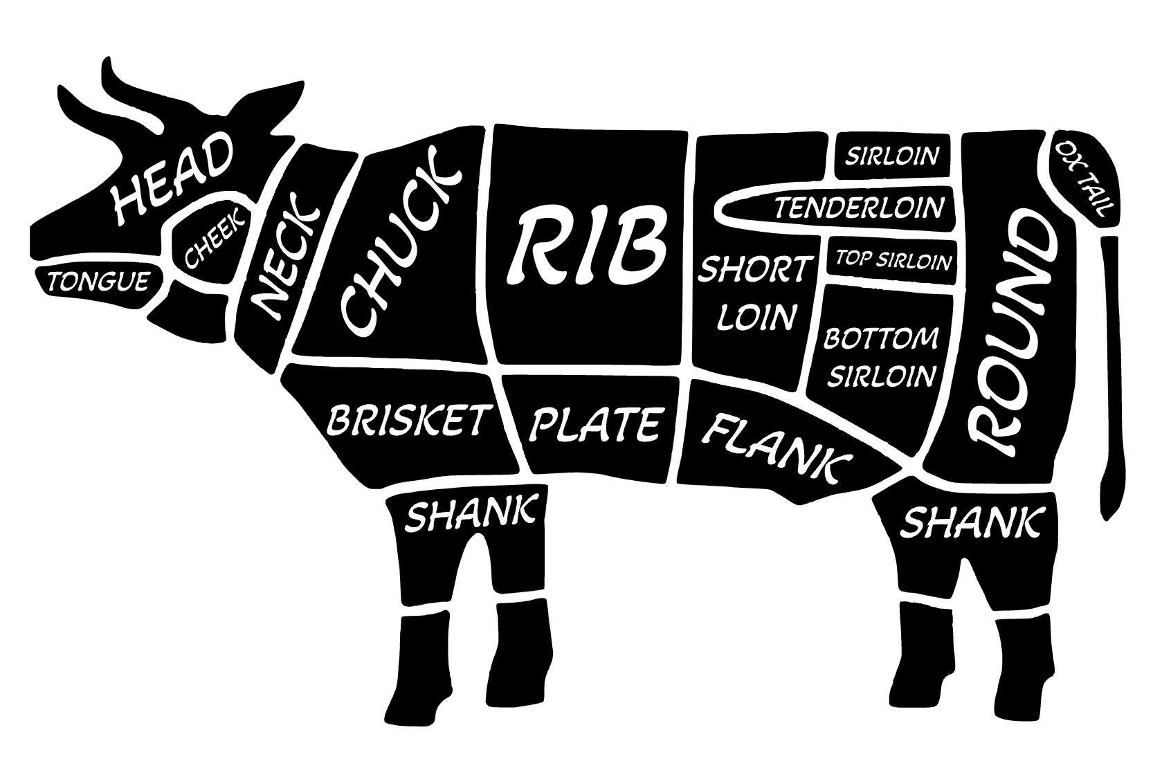 Cow Meat Parts SVG – Educational Cut File With Unique Font Design - Etsy