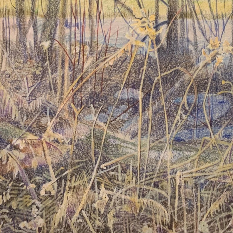 Original Pencil Crayon Landscape Drawing–serene Rural Scenery in ...