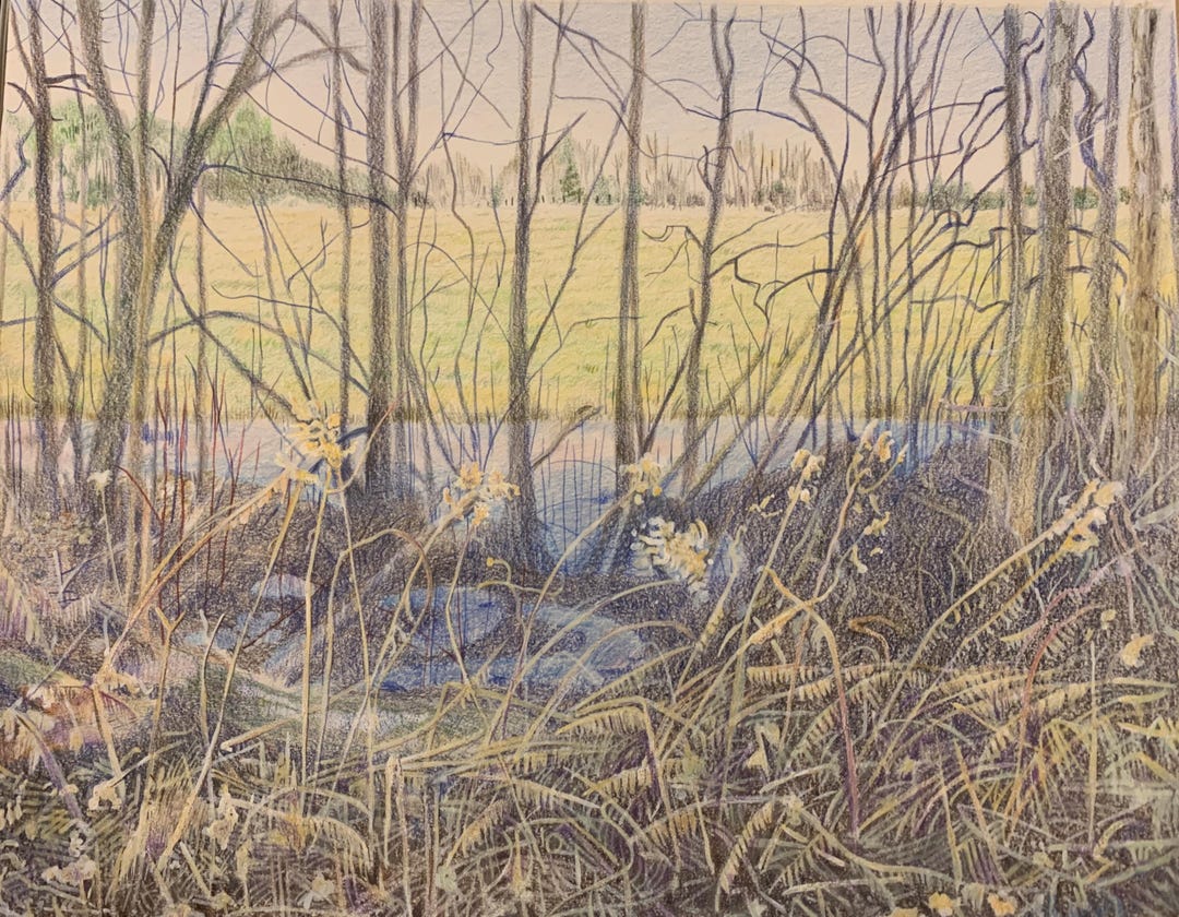 Original Pencil Crayon Landscape Drawing–serene Rural Scenery in ...